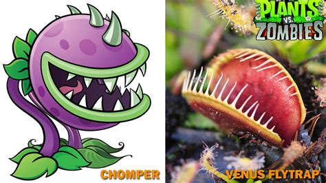 Printable Plants Vs Zombies Characters
