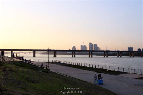 2016 한강 이색달리기 축제 함께 달릴까요 네이버 블로그