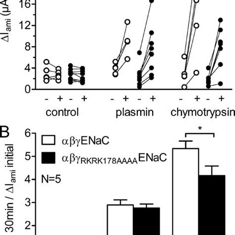 The Stimulatory Effect Of Plasmin Is Preserved In Oocytes Expressing