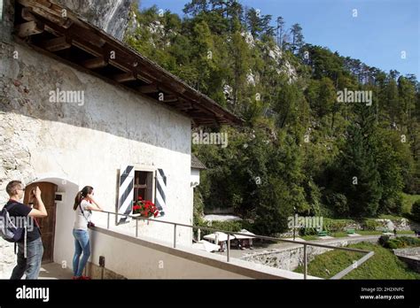 View With Tourists From Predjama Castle Grad Predjama Built Within A