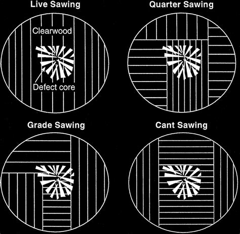 Generic Sawing Patterns Displayed On A Pruned Log Showing Internal Download Scientific Diagram