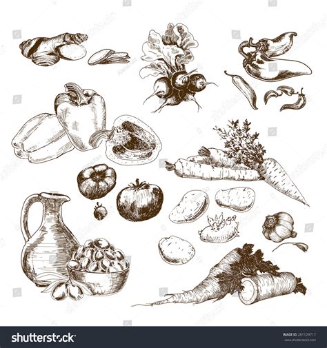 Vegetables Collection Set Hand Drawn Graphic Stock Vector Royalty Free Shutterstock