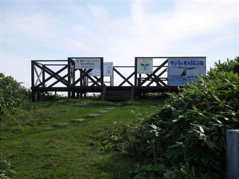 みどころクジラの見える丘公園 羅臼町公式世界自然遺産知床の町 羅臼町 観光情報サイト