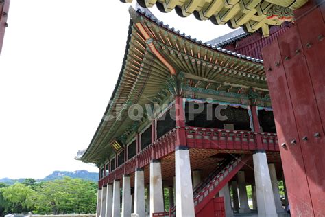 경복궁 고궁 기와지붕 서울 광화문 사진 이미지 일러스트 캘리그라피 청랑작가