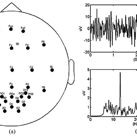 B Shows A Typical Example Of Temporal Wave And Amplitude Spectrum Of