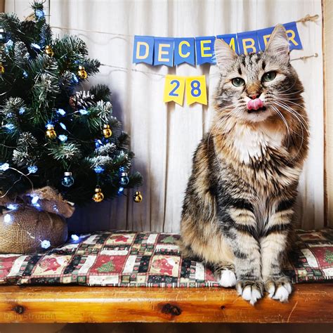 December 28 Album On Imgur