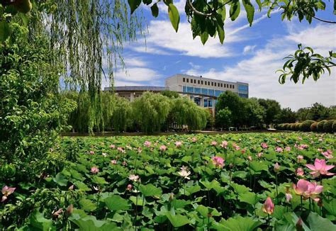 安阳工学院