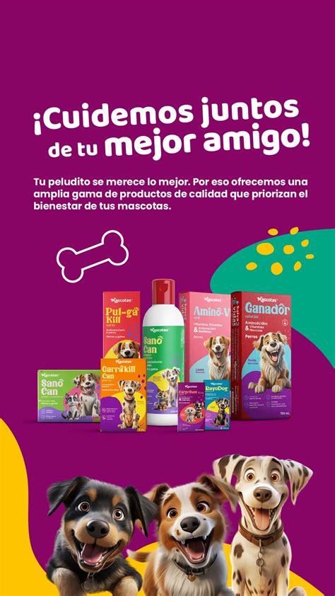 Antibioticos Perros Mascotas
