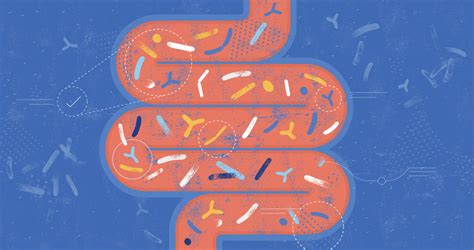 中大研究發現「長新冠」與腸道微生態失衡有關 腸道惡菌可識別自閉症兒童