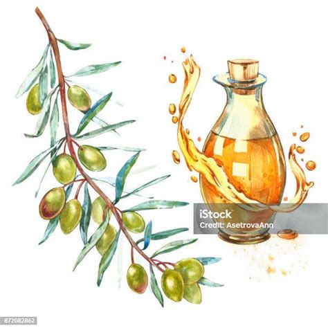 익은 녹색 올리브의 분기는 달콤한 기름 부 어 방울 그리고 올리브 기름 많아요입니다 수채화 물감 그리고 식물 그림을 흰색 배경에