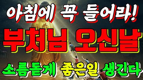 💥아침에 꼭 들어라 부처님 오신날 다가온다 소름돋게 좋은 일이 생긴다 미친기적의 시작 명상음악 행운주파수 금전운 행운음악 Youtube