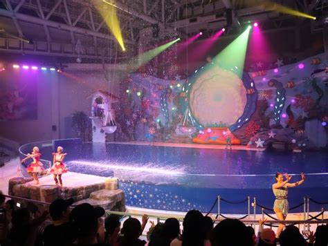 제주도 아이와 가볼만한곳 아쿠아플라넷 제주 오션아레나 공연 네이버 블로그