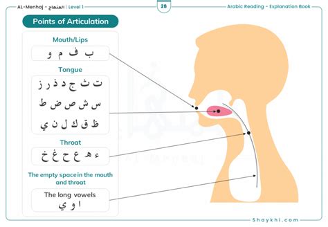 Makharijul Huruf Points Of Articulation Of The Arabic Letters