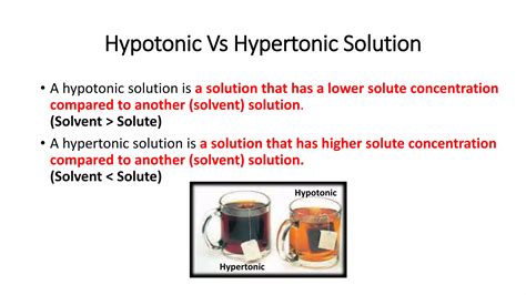 Hypotonic Vs Hypertonic Solutionpptx