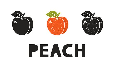 복숭아 실루엣 아이콘은 레터링세트 스탬프 모방 스커프 프린트 0명에 대한 스톡 벡터 아트 및 기타 이미지 0명 검은색