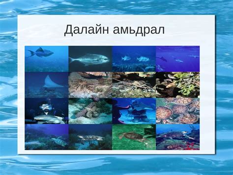 усны шинж чанар хэрэглэгдэхүүн Ppt