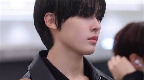 고양이를 찾습니다 Youtube