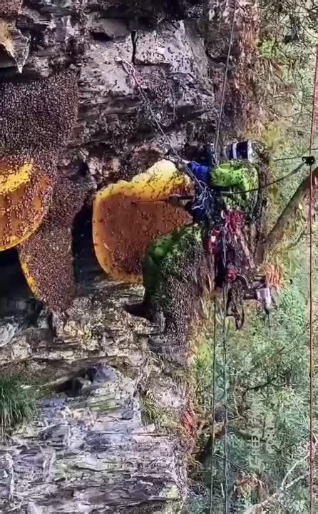 Maureen Wright On Linkedin Hello Honey