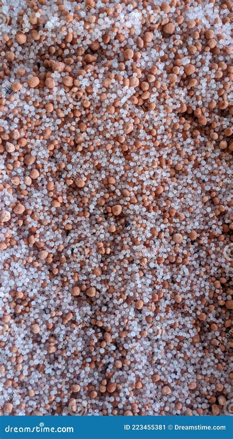 Fertilizer Granules Stock Image Image Of Flooring Produce