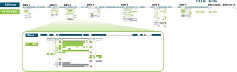 Design Spike In Rna Variant Control Mixes Lexogen
