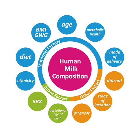 優化母乳中的活性因子 惠氏營養科學中心