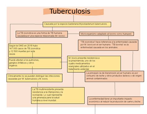 La Tuberculosis Mapa Mental Amostra Porn Sex Picture