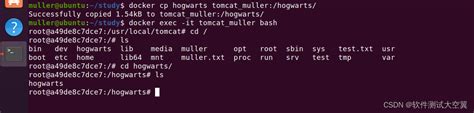 软件测试docker Cp命令详解：在docker容器和主机之间复制文件文件夹 Csdn博客