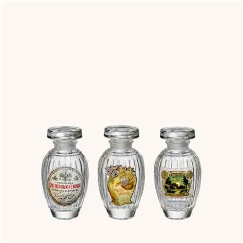 Ribbed Apothecary Bottle Mini — Hive Prop House