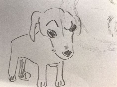 Uwu Baka Periodt Sussy Amogus Dog Memes Silly Dogs Funny Looking Cats