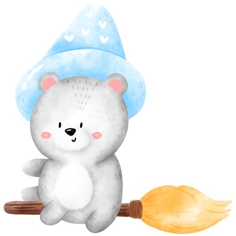Witch Wizard Bear Png