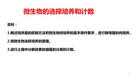 生物 微生物的选择培养和计数 共51张PPT 课件人教版2019选择性必修3 课件下载预览 二一课件通