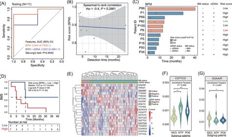 Early Diagnosis Of Brain Metastases Using Cerebrospinal Fluid Cell‐free Dna‐based Breakpoint