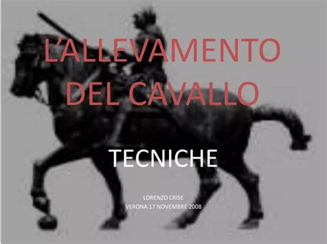 Ppt Lallevamento Del Cavallo Powerpoint Presentation Free Download