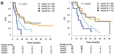 学术前沿 【lancet Oncol】基于ccrcc不同分子分型选择最有效一线治疗策略具有可行性 知乎