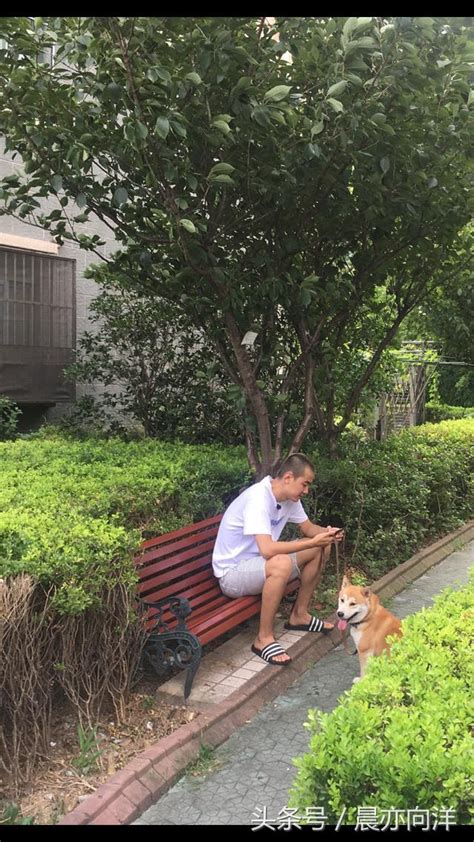 紀凌塵分手後首現身，鬍子拉碴顯憔悴，這張照片被質疑擺拍博同情 每日頭條