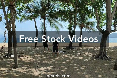 Samantha Flair Videos Download The Best Free 4k Stock Video Footage