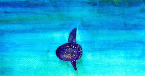 マンボー Mola Mola Automamacuryのイラスト Pixiv