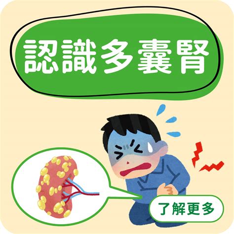多囊腎全名為「自體顯性多囊腎腎臟病（adpkd）」，是一種遺傳性 杏昌醫藥之護腎學堂 益生菌、低蛋白、低磷鉀鈉