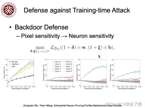 学习笔记：【valse短教程】《adversarial Attack And Defense》adversarial Neuron Pruning Purifies Backdoored