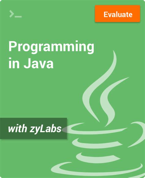 fundamental programming concepts zybooks