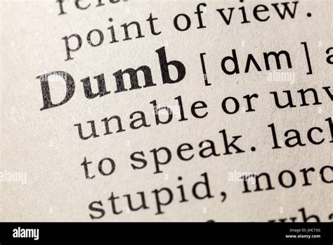 Fake Dictionary Dictionary Definition Of The Word Dumb Including Key Descriptive Words Stock