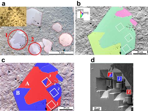 Microstructure Of Polycrystalline Cosi A Microstructure Of The Download Scientific Diagram