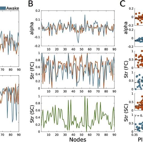 Pdf Perturbation Of Whole Brain Dynamics In Silico Reveals