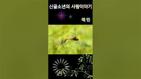 산골소녀의 사랑이야기 예 민 Youtube