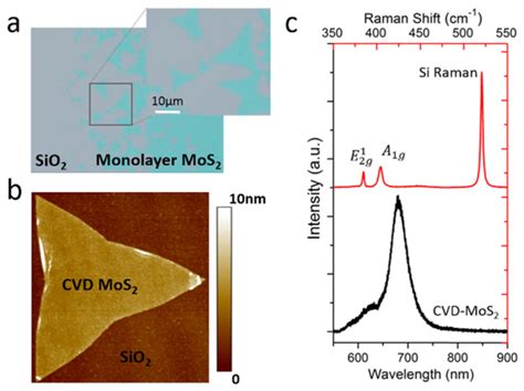 A Optical Microscope Image Of The Cvd Mos 2 Deposited On Sio 2