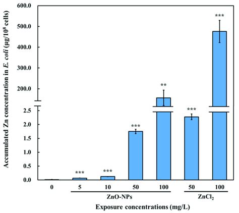 Accumulated Zn Concentration In E Coli Op50 Upon Zno Np Or Zncl 2