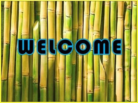 Current Status And Future Prospects Of Sugarcane Breeding Ppt