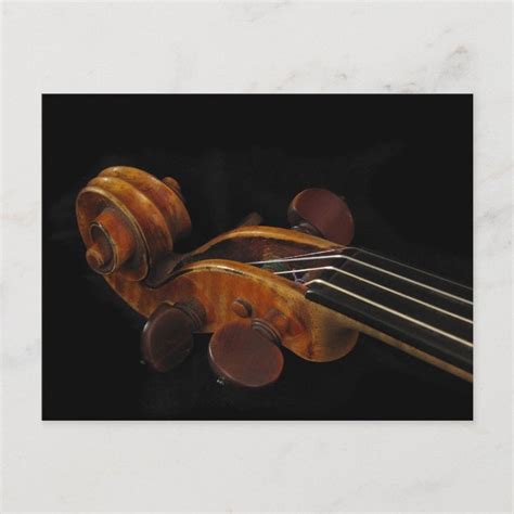 Violin Scroll Postcard Zazzle Violin Scroll Violin Learn Violin
