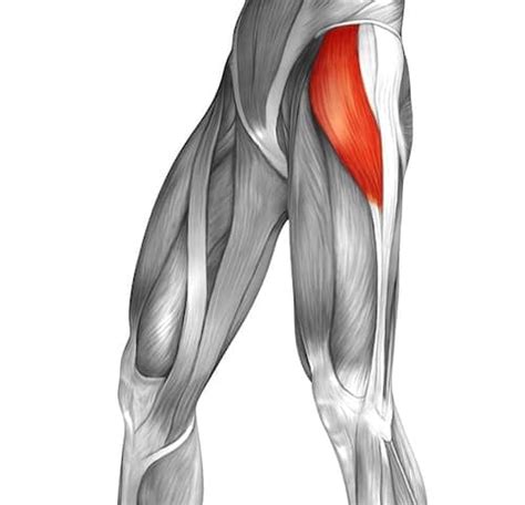 Tight It Band A Closer Look At Causes And Solutions Dr Body Gadget