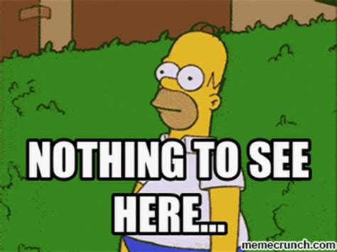 The Simpsons Homer Simpson  The Simpsons Homer Simpson Nothing To